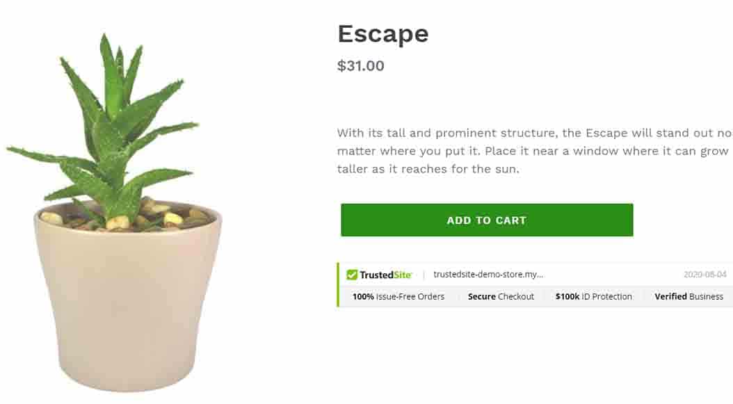 Essential Shopify Trust Badges for Your Store in 2025